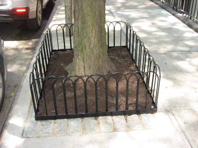 What's New - Black Widow Termite and Pest Control