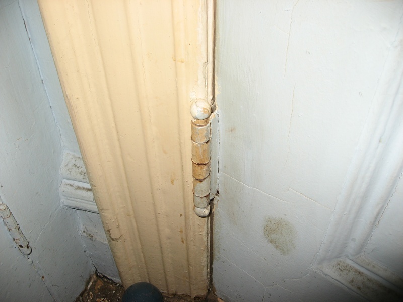 Bed Bug Control - Black Widow Termite and Pest Control in Manhattan New ...