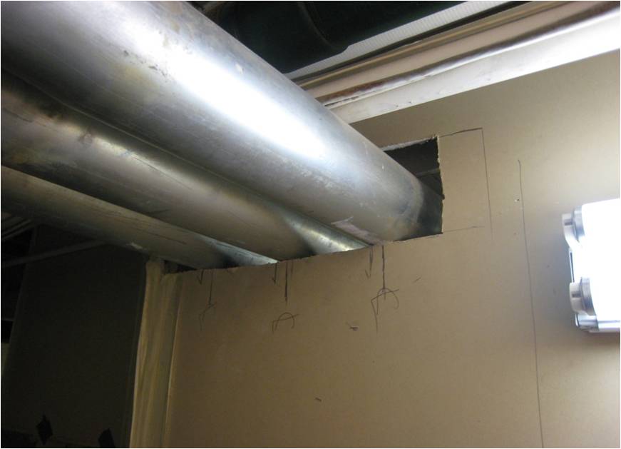 Rodent Control - Black Widow Termite and Pest Control in Manhattan New York